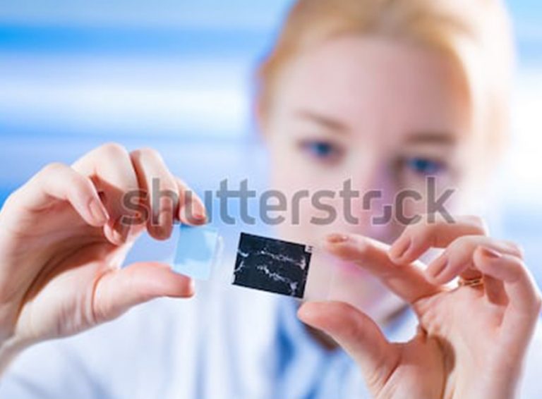 tissue-contact | Millrock Technology, Inc